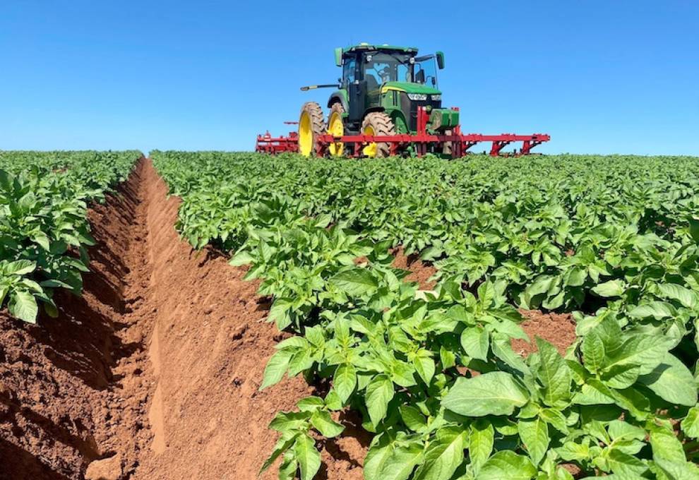 Vive Crop Protection receives first Canadian registration | The Grower